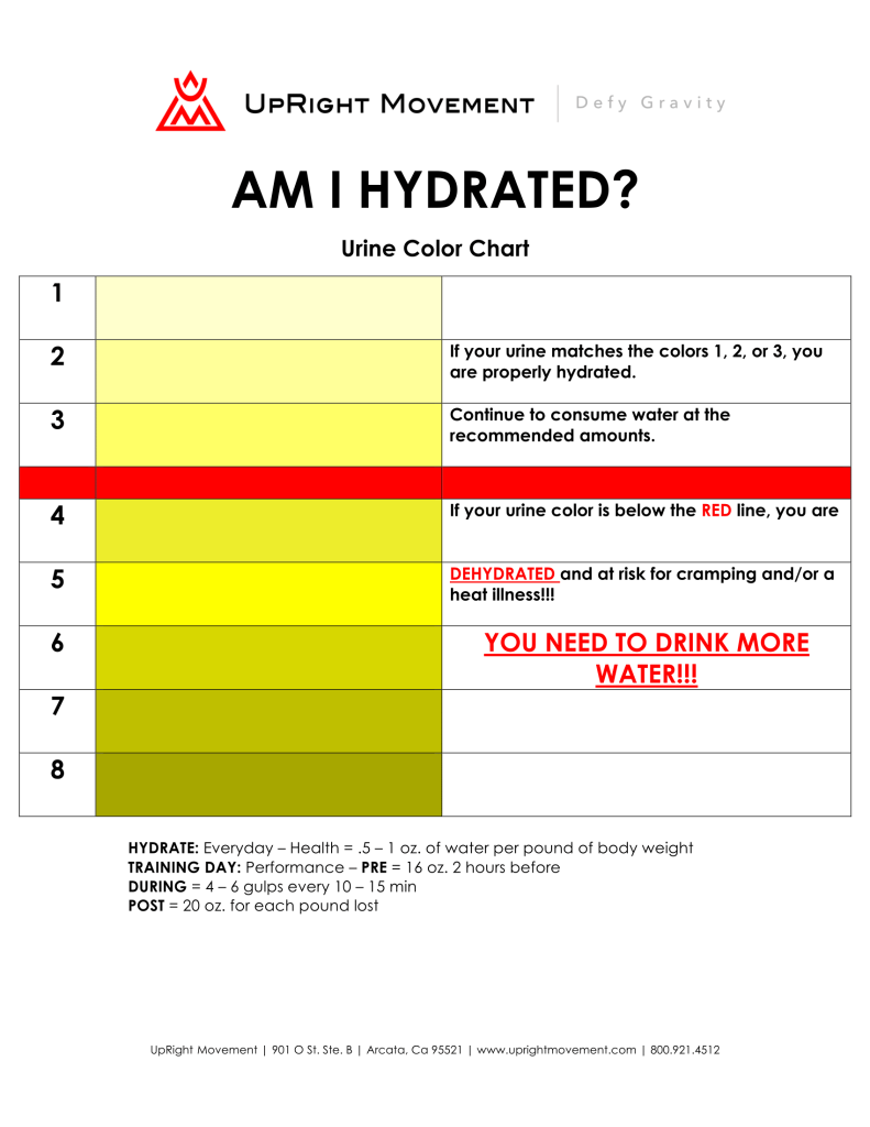 Hydration 101 | UpRight Movement